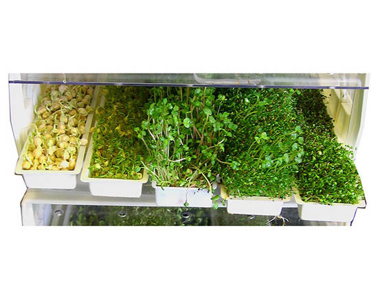 EasyGreen Light Sprouter - Sana-Store.com