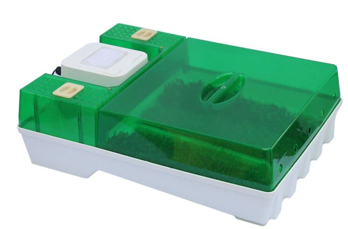 Easy Green Light sprouter review - Articles - Sana-Store.com